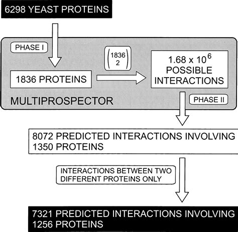 Multimeric Threading Based Prediction Of Proteinprotein Interactions On A Genomic Scale
