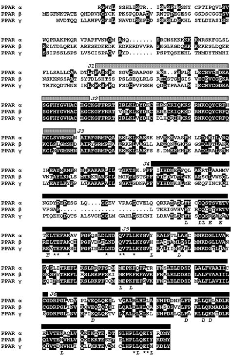 Amino Acid Sequence Alignment Of The Three Sea Bass Ppar Isotypes