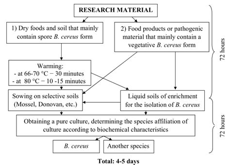 Scheme Of Identification Of The Causative Agent B Cereus Download Scientific Diagram