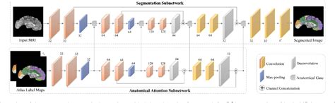 Figure 1 From Anatomical Attention Guided Deep Networks For Roi