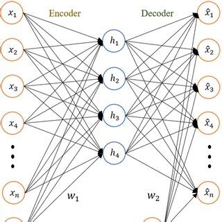 Threelayered Basic Autoencoder Structure Download Scientific Diagram