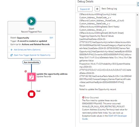 Salesforcedx Error While Updating An Custom Address Field Using Flows