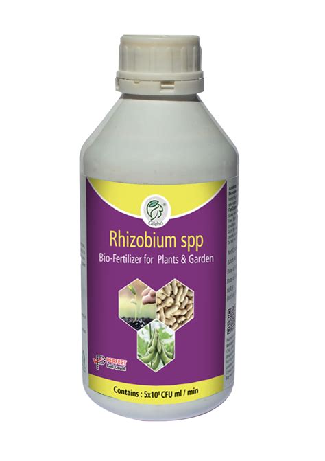 Rhizobium Spp Gilehri Organics