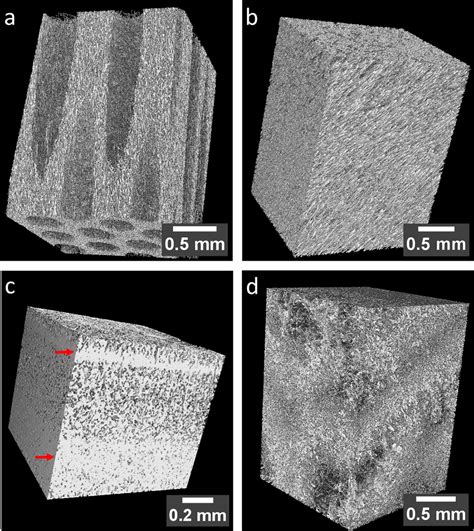 Microstructure By μct Of The Four Segments Of F Fomentarius A The Download Scientific Diagram