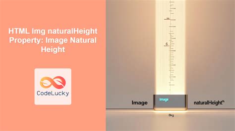 Css Object Fit Property Mastering Image And Video Scaling Codelucky