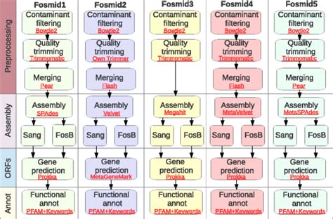 schematic of workflows for the analysis of metagenomic edna data