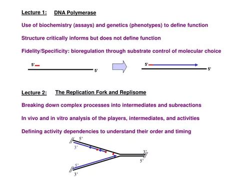 PPT Lecture PowerPoint Presentation Free Download ID