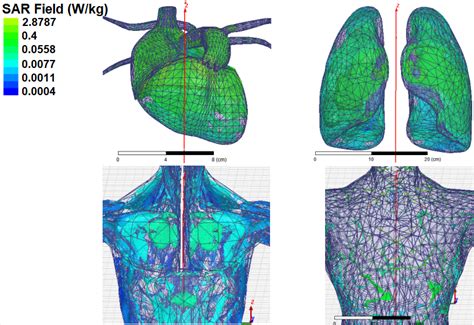 15 Sar Simulated Results Download Scientific Diagram