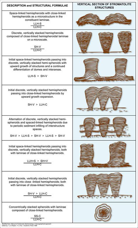 Colorful Stromatolites General Fossil Discussion The Fossil Forum