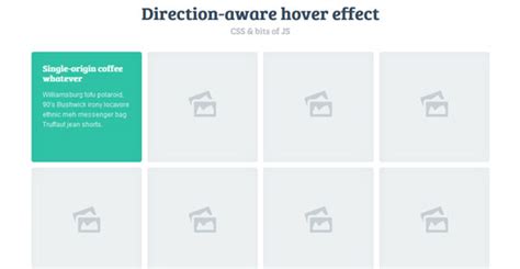 50 Fresh Css Image Hover Effects Freshdesignweb