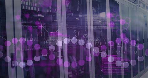 Animation Of Data Processing And Dna Strand Over Server Room Stock Video Video Of Computing