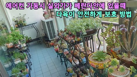 다육이♡ 에어컨 가동시 실외기가 베란다안에 있을때 다육이 보호방법💓💓 Youtube