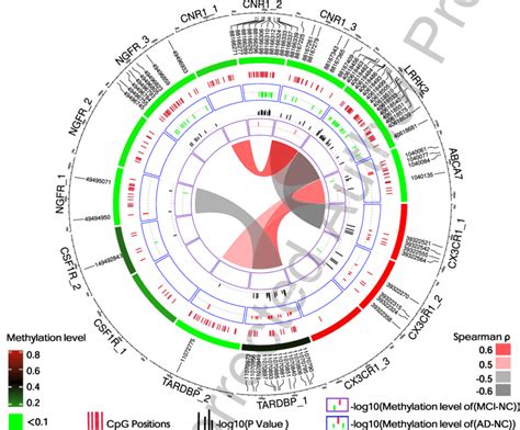 Distribution And Methylation Level Of Dmps The Black Scale On The