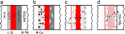Schematic Diagram Of The Formation Of Interface Microstructure A Download Scientific Diagram
