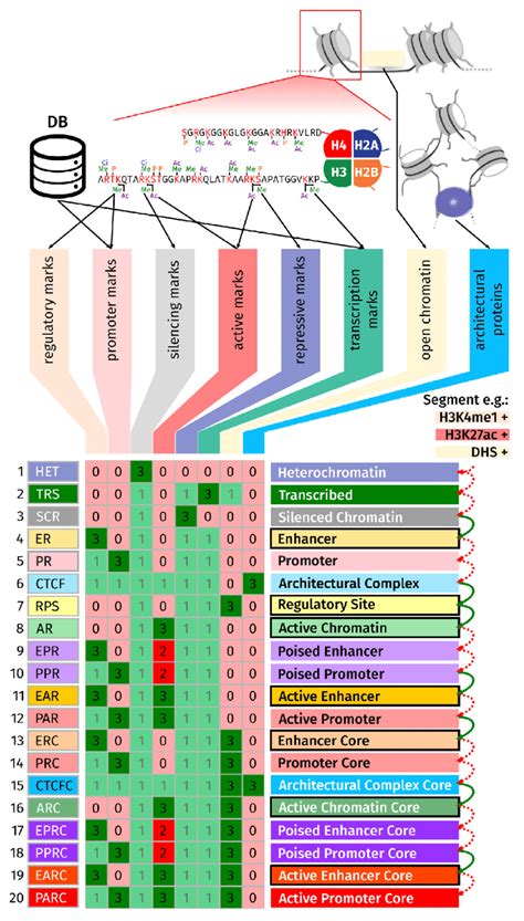 Mapping Datasets To Functional Significance Annotations Experimental