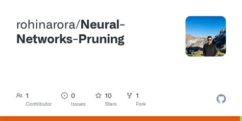 Github Rohinarora Neural Networks Pruning