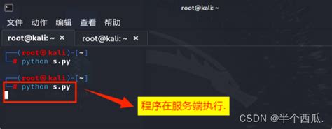 Python 渗透测试：反弹 Shell （反弹 后门 程序免杀）python反弹shell Csdn博客