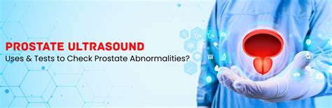 Prostate Ultrasound Its Uses