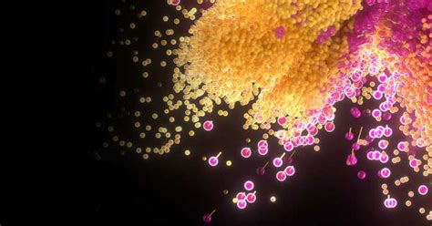 Mobile Private Network Mpn Solutions With Secure 5g Connectivity