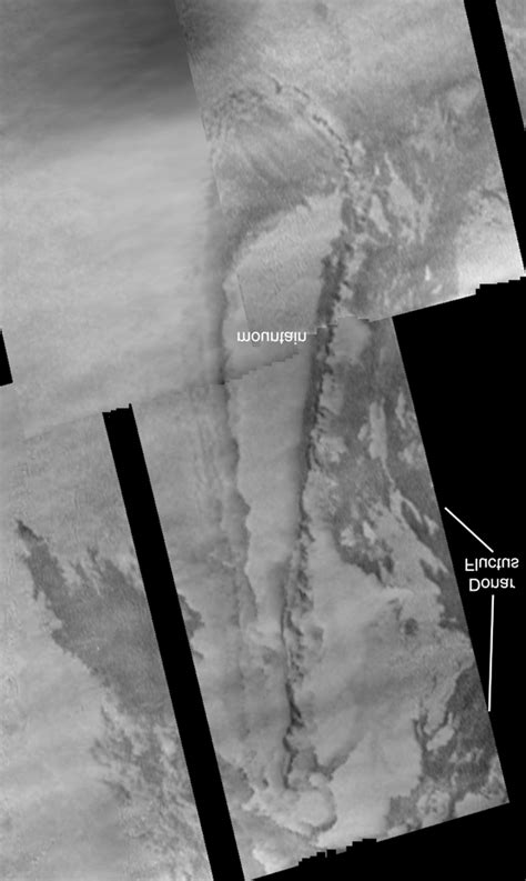 Section Of A Mosaic Of Reconstructed Summation Mode Images Taken