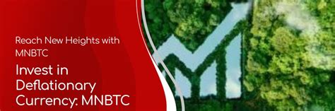 Mnbtc Sustainable Energy Efficient Blockchain Project Of The Future