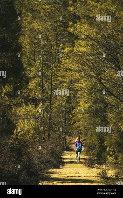 Solo Mädchen Fotos Und Bildmaterial In Hoher Auflösung Alamy