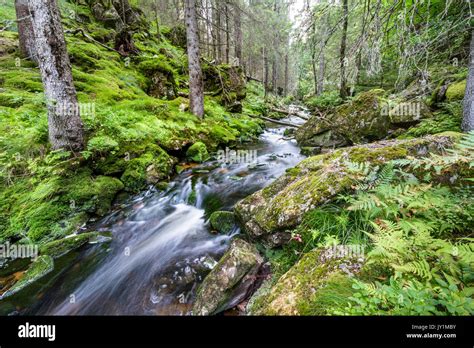 Water Flow In A Stream Long Exposure Stock Photo Alamy