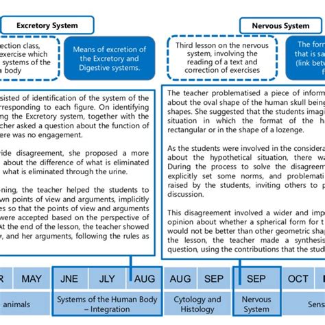 Timeline With The General Characterisation Of The Lessons In Year 8