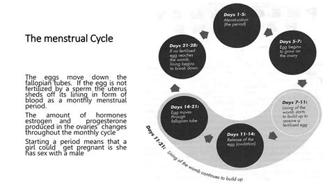 MODULE 4 UNDERSTANDING GROWTH AND DEVELOPMENT SEXUALITY AND LIFE SKILLS Autosaved Pptx