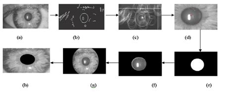 Iris Localization And Segmentation Stages Download Scientific Diagram