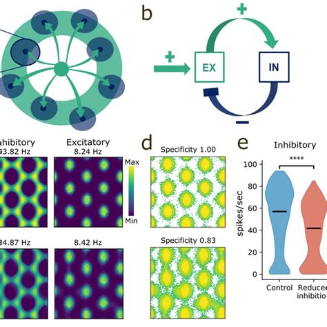 Grid Cells Are Pairwise Stable Between Familiar And Novel Environments Download Scientific