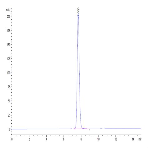 Human Igg4 Fc Protein Igg Hm004 Kactus Biosystems Ushelf