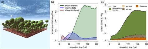 Forest Succession And Carbon Stocks Simulated Using Formind A Download Scientific Diagram