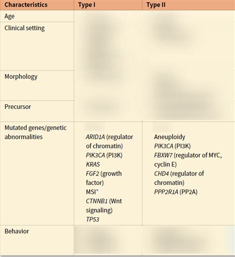 Exam 3 Type I Vs Type Ii Endometrial Carcinoma Diagram Diagram Quizlet