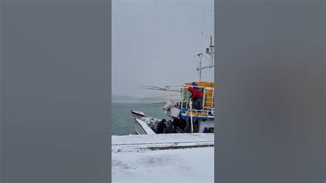 보고싶은티비는 다볼수있습니다 구독 바람4 Youtube