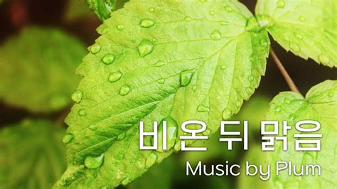 비 온 뒤 맑음 By Plum 통통 튀는 밝은 피아노곡 Youtube Music
