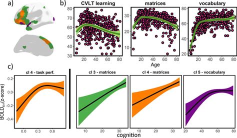 Episodic Encoding Activity Cognitive Function Relationships A