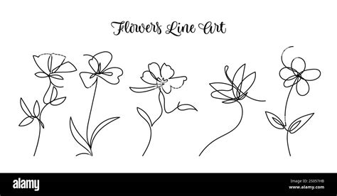 One Continuous Single Line Art Flowers Blossom Hand Drawing Collection Vector Illustration Stock