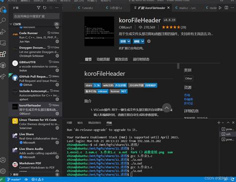 vscode添加头部注释和作者注释报错怎么办？ fileheader custommade报错 csdn博客