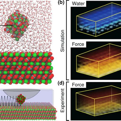 Schematic Representation Of Liposome Download Scientific Diagram