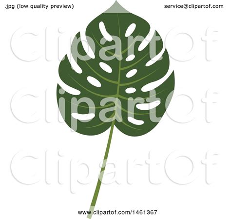 Split Leaf Philodendron Clipart Split Leaf Philodendron Clipart