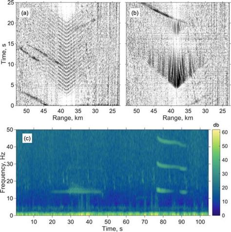 Distributed Acoustic Sensing Recordings Of Low Frequency Whale Calls And Ship Noise Offshore