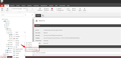 Content Editor Migrate Field Values While Creating Different Language