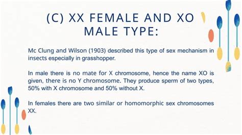 Botany Theories Of Sex Determinationpptx
