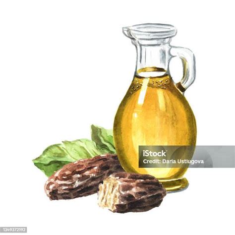 향기로운 아로마 톤카 콩 오일 흰색 배경에 고립 된 수채화 손 그린 그림 Tonka Bean에 대한 스톡 벡터 아트 및 기타