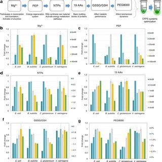 Effect Of Codon Optimization On Protein Expression Of E Coli B Download Scientific Diagram