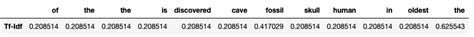 python scikit learn tfidfvectorizer ignoring certain words stack
