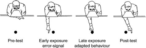2 The Four Phases Of The Prismatic Adaptation Procedure The Pre Test