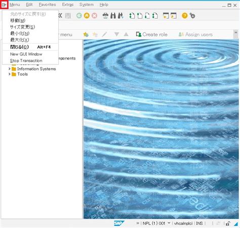 【sap Gui】sap Gui操作のコツとクセ【tips】 テクノロジブン