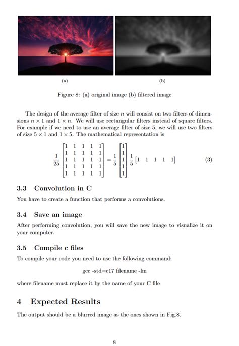 Digital Image Processing In C Abstract This Challenge Chegg